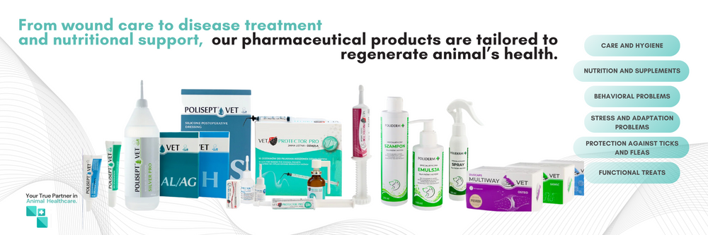 iVet Medical | Innovative Veterinary Equipment Supplier