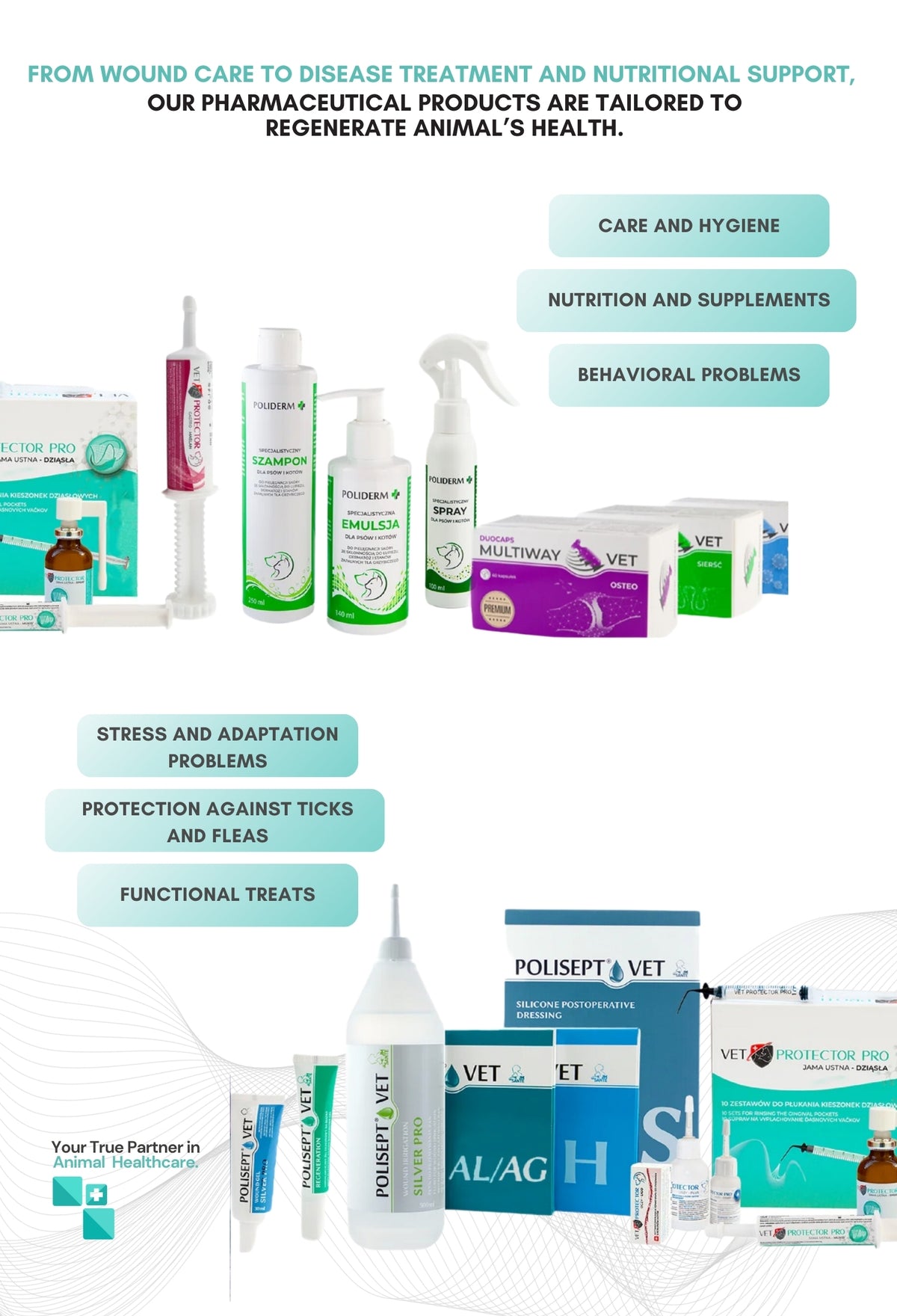 iVet Medical | Innovative Veterinary Equipment Supplier