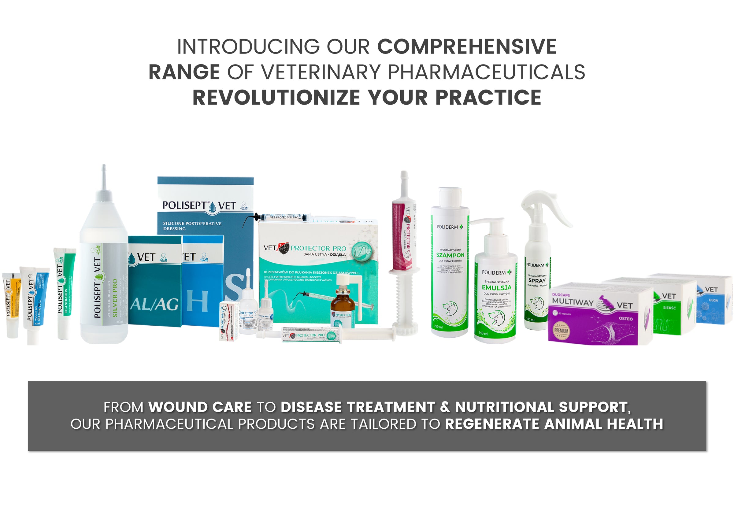 iVet Medical | Innovative Veterinary Equipment Supplier