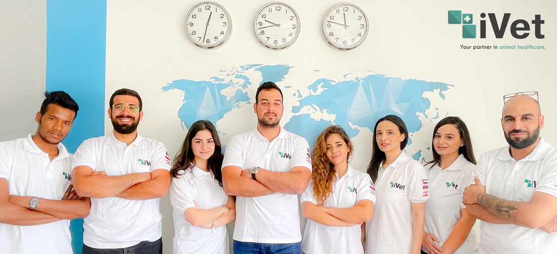 ABOUT | ivetmedical